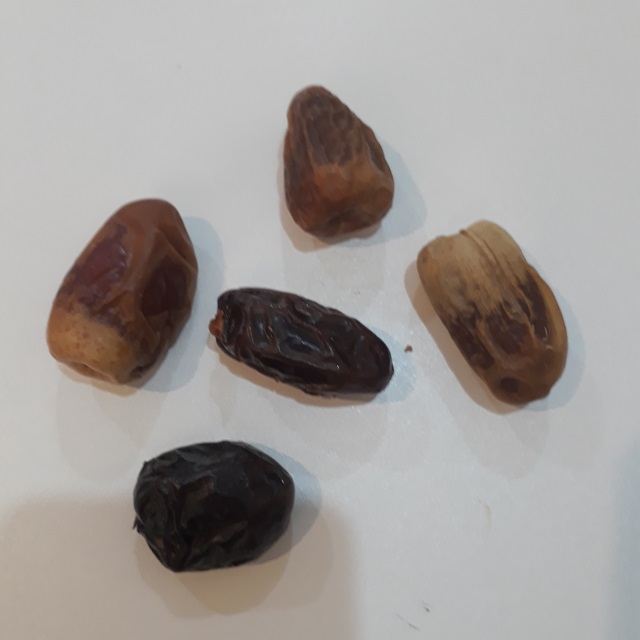 Dates Instance Segmentation Model by Coded