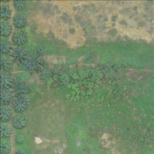 Palm Oil Detection And Counting Object Detection Model By Object Detection