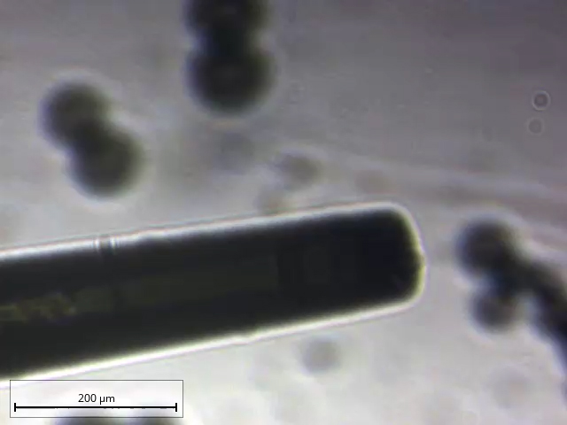 Pin Tip Object Detection Dataset By Hyper