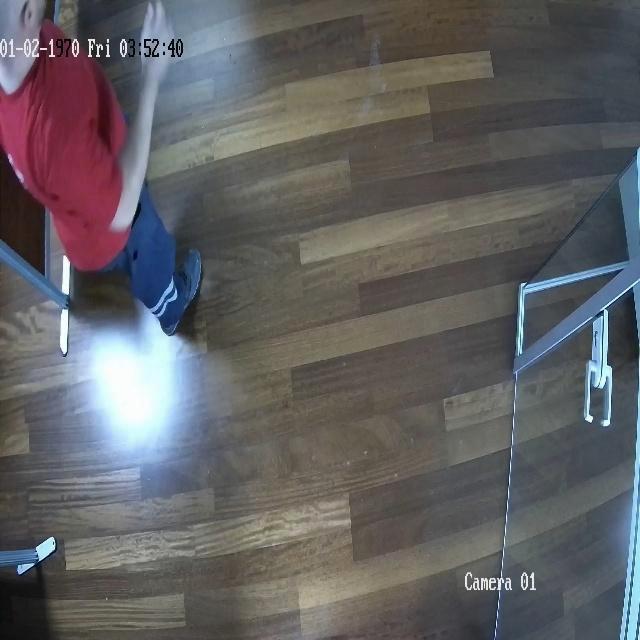 person_v7 Object Detection Dataset by HaNoi University of Science and ...