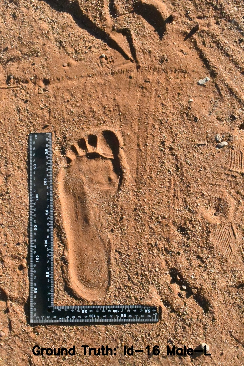 Bbox soft soil Object Detection Dataset by wazha