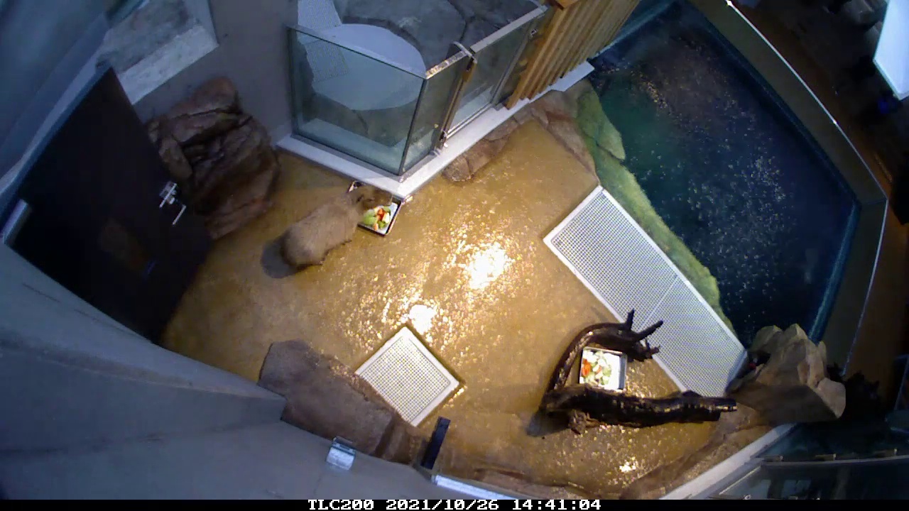 Test Pose Keypoint Detection Dataset By Project W1oeb