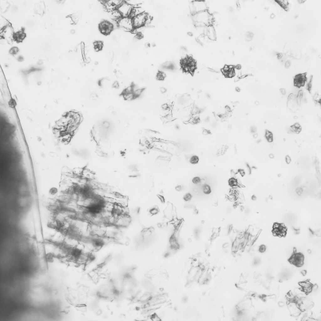 AI-Pharmacy Object Detection Dataset by IronRich