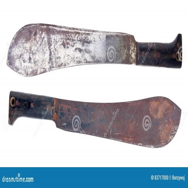 How to Use the Trained model yolov5 Object Detection API