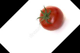 Tomato Object Detection Model by UTM