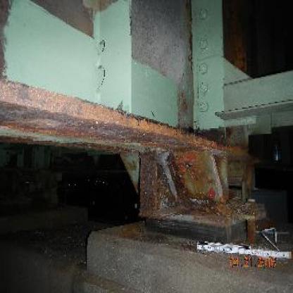 coco Instance Segmentation Dataset by trider