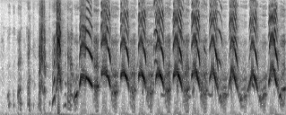 Chimpanzee Sound Event Detection Object Detection Dataset by ...
