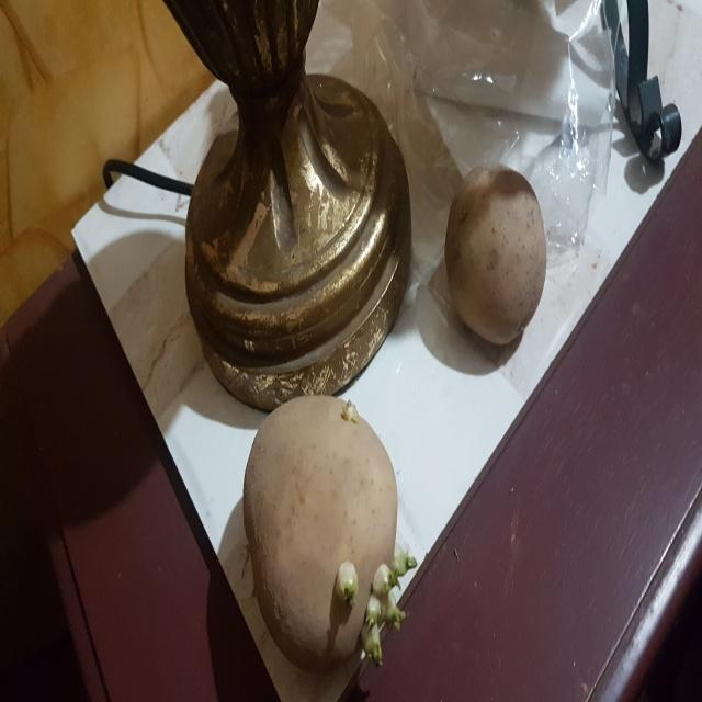 Image Classifications - Roboflow Universe