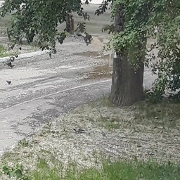 vpa Object Detection Dataset and Pre-Trained Model by BR