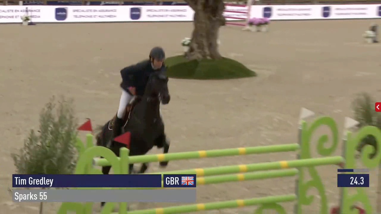Show Jumping Object Detection Model by British Equestrian