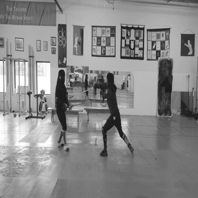 Saber Hema Hit Detection Object Detection Dataset And Pre Trained Model By Saber Hema Hitcount App