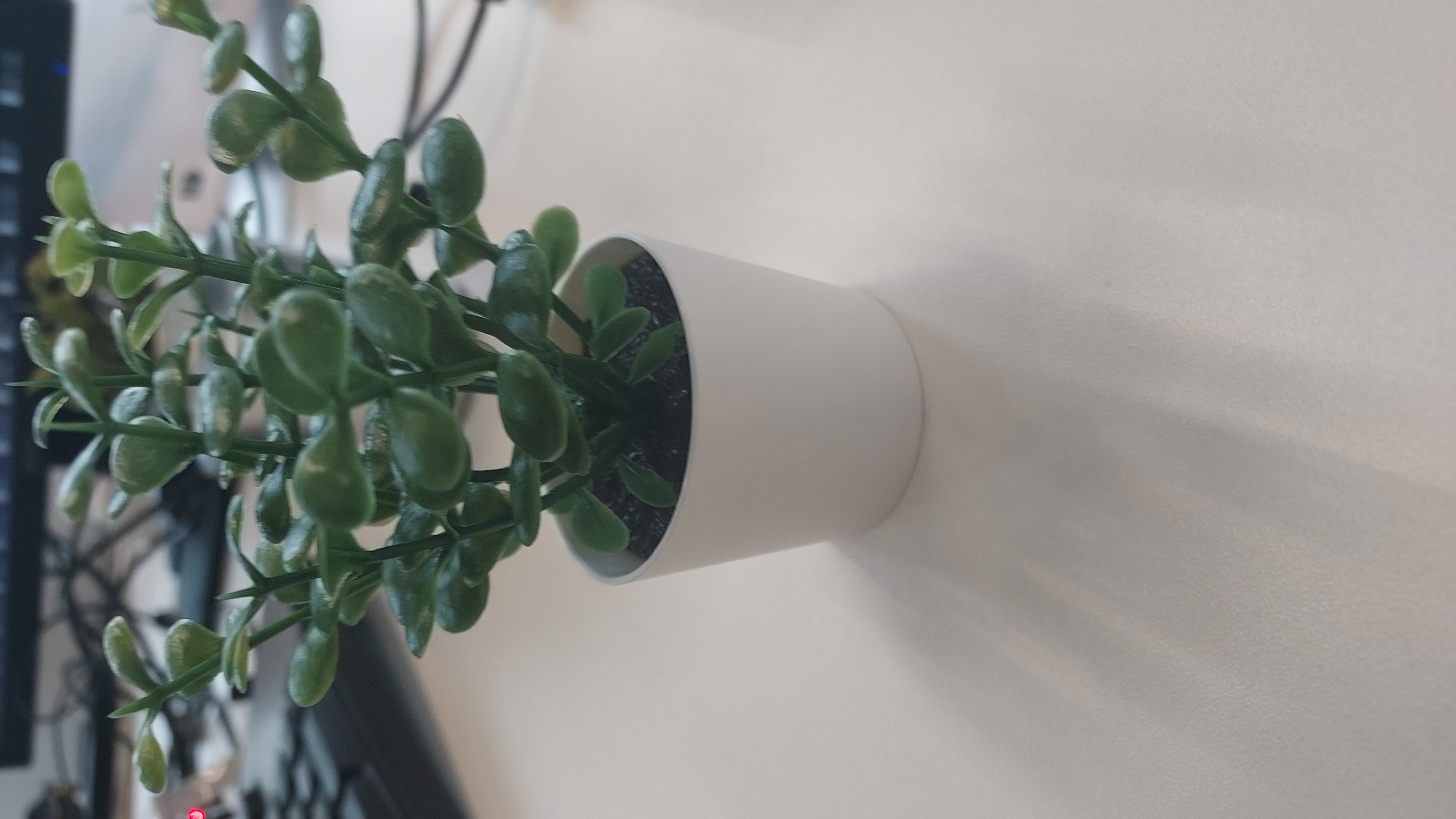 plant Object Detection Model by oui