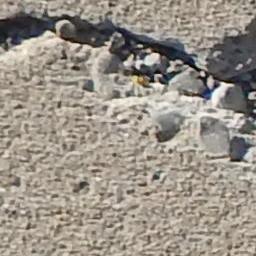 concrete surface crack detection using yolov5 model Object Detection ...