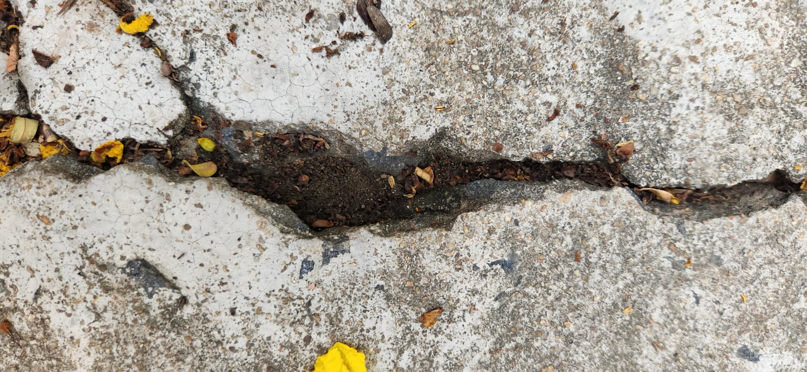 types of crack Object Detection Model by vijayalakshmi