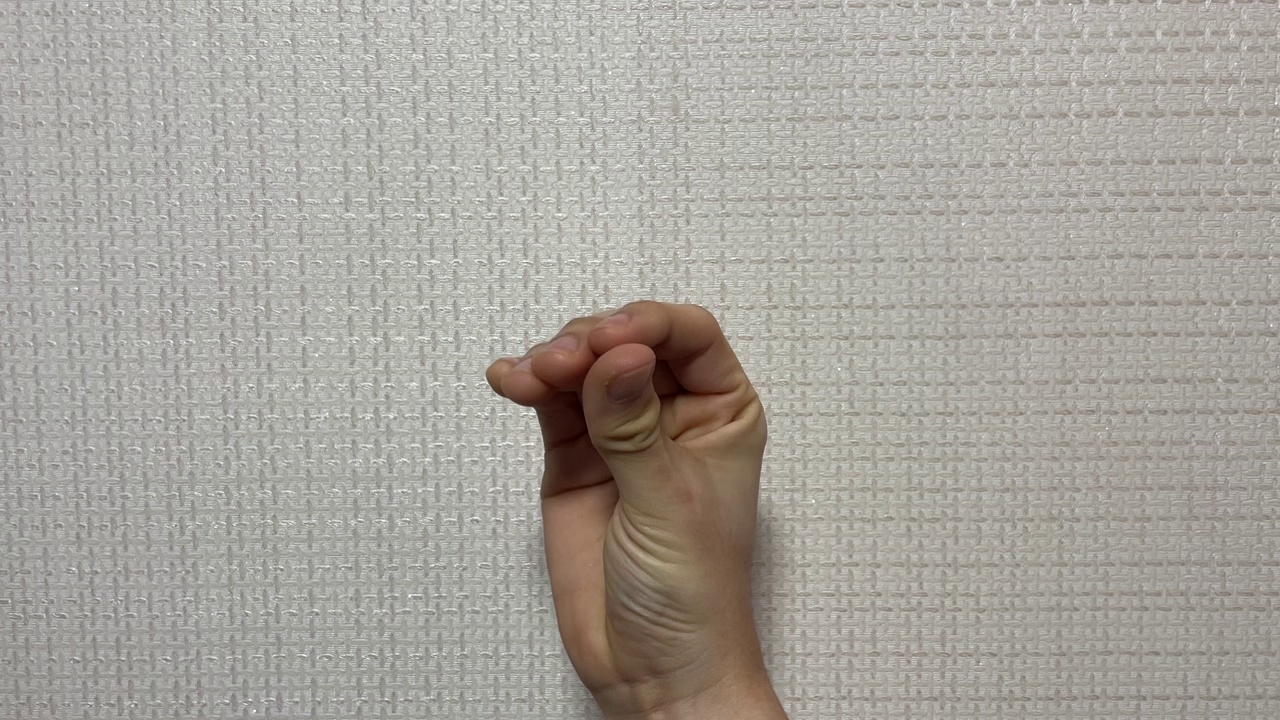 hand_grab_1 Object Detection Dataset by project-fgv4d