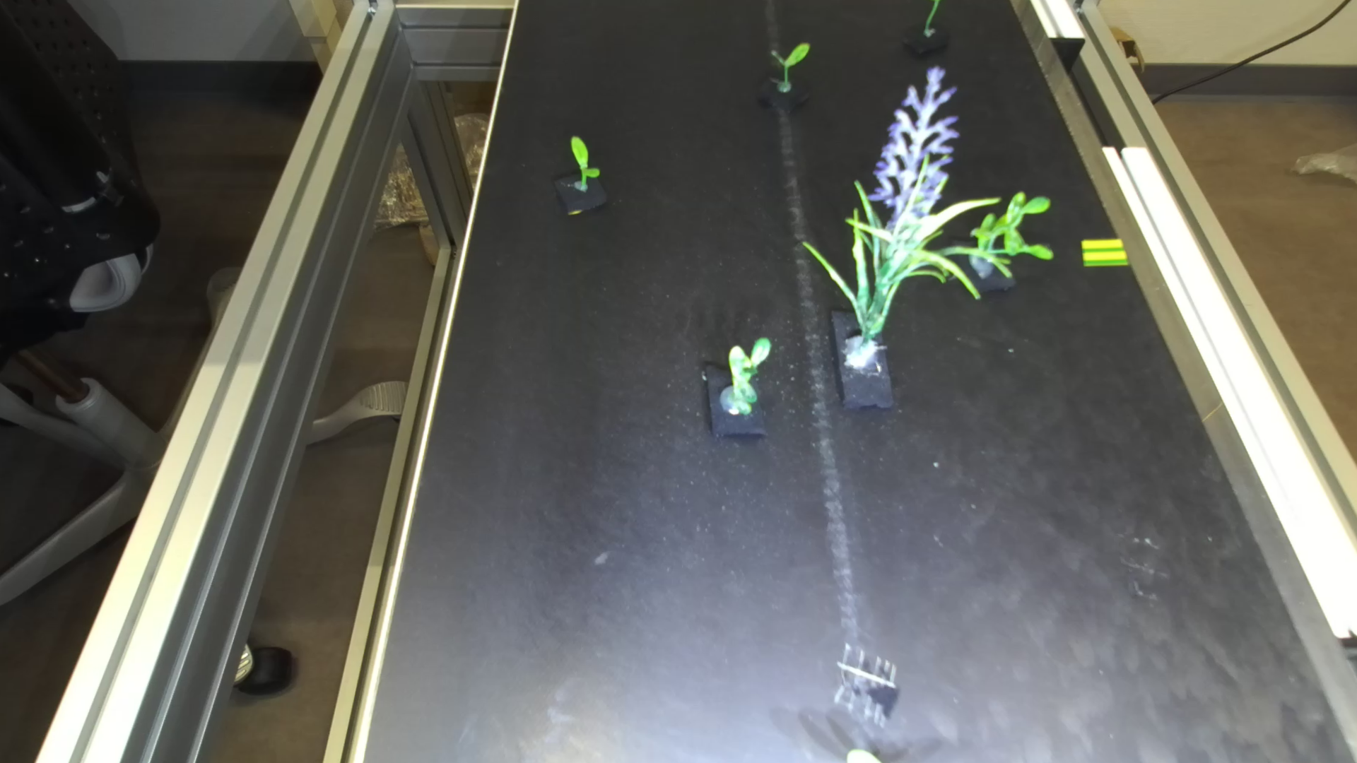 Saxion Saxion Rfv6g Roboflow Universe