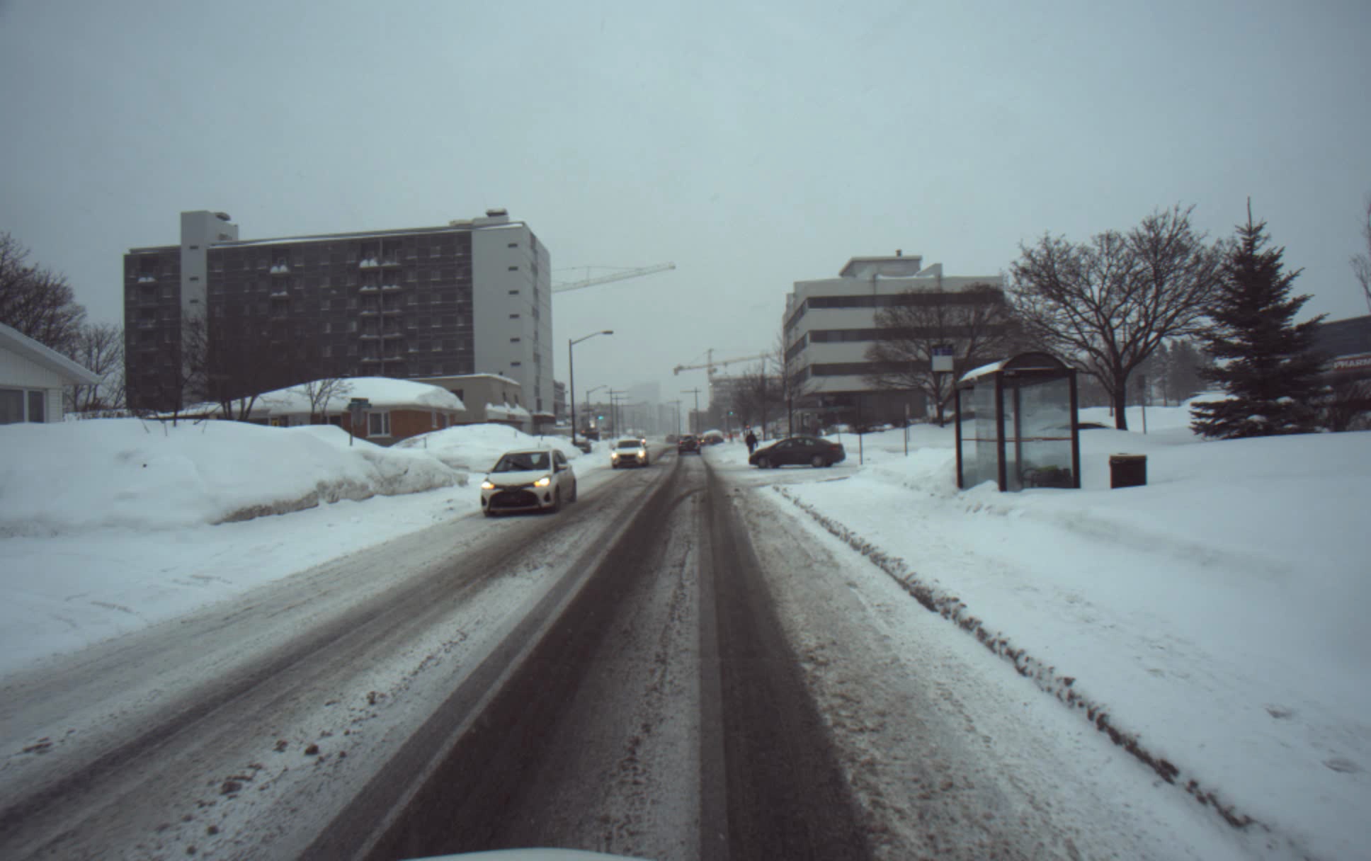 labelling (labelling-24hrm) - Roboflow Universe