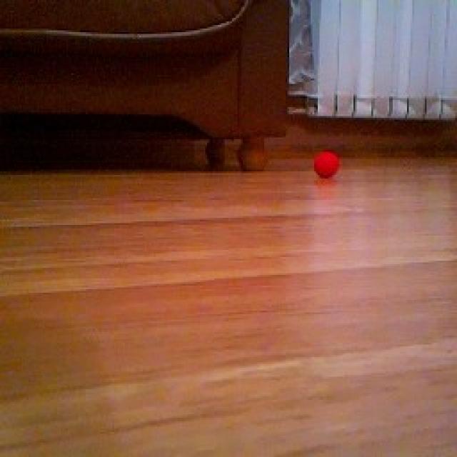 Redball Object Detection Model By Redball
