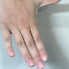 robot_arm Instance Segmentation Dataset by YellowLab