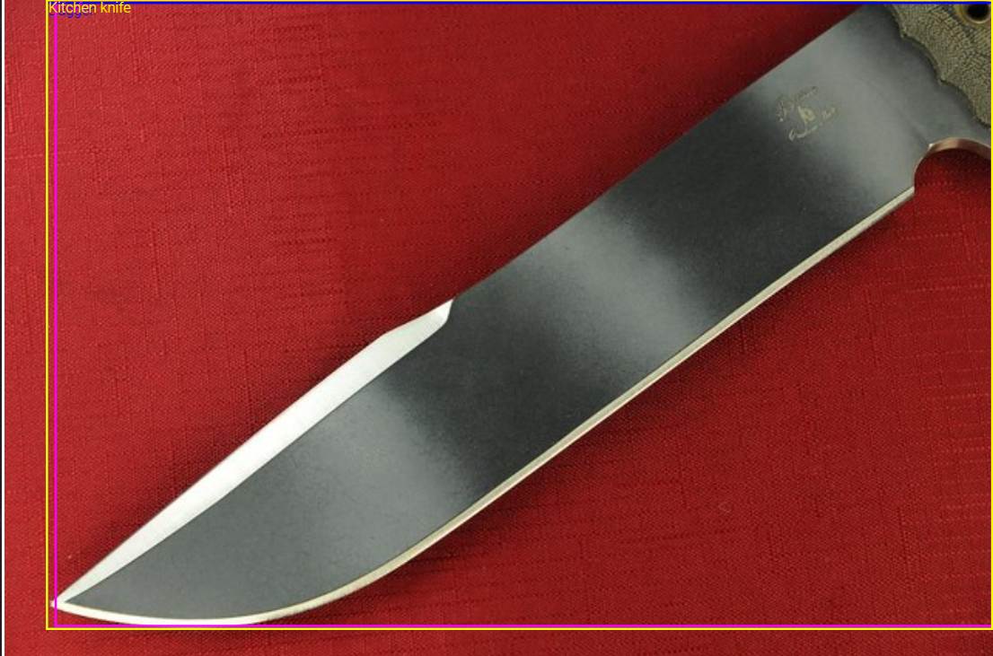 cam_Detection Instance Segmentation Dataset and Pre-Trained Model by lucifer