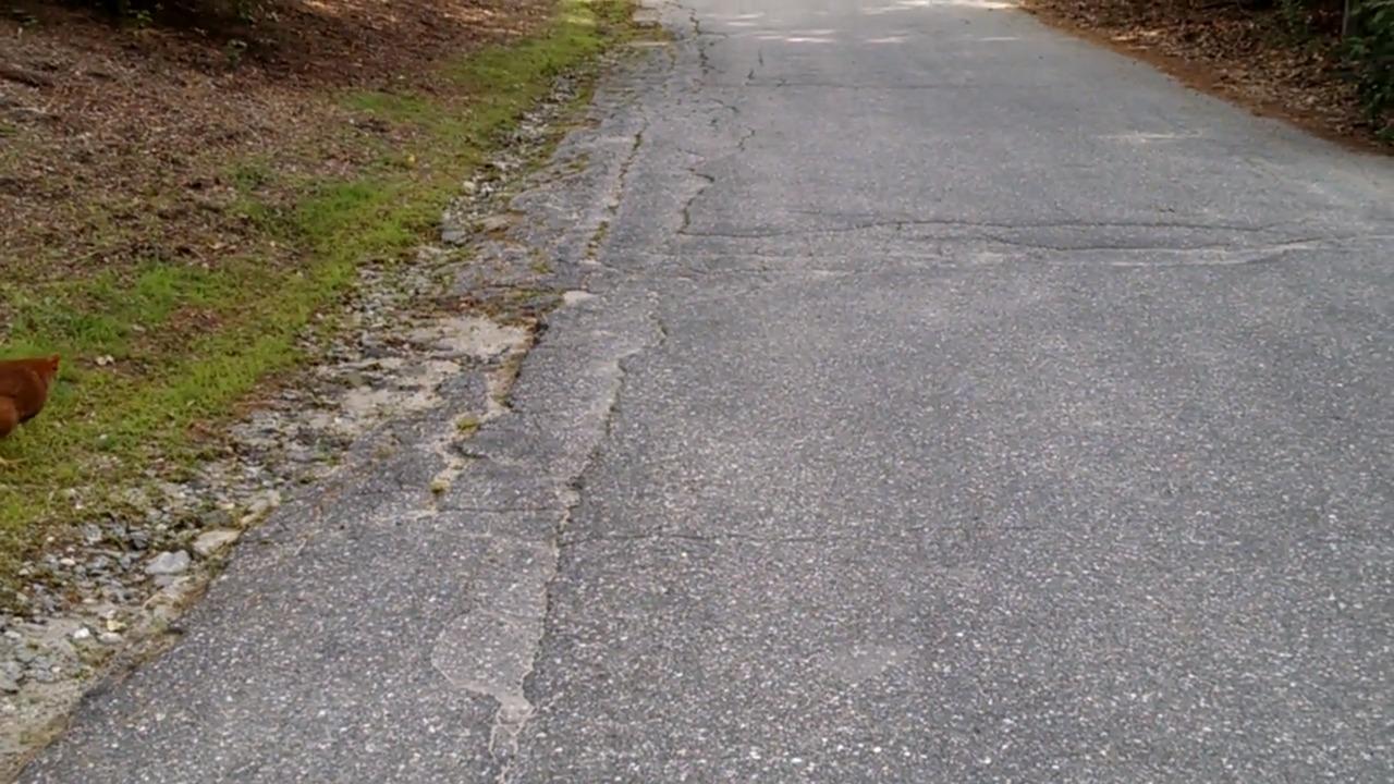 Srujan (srujan-2errz) - Roboflow Universe