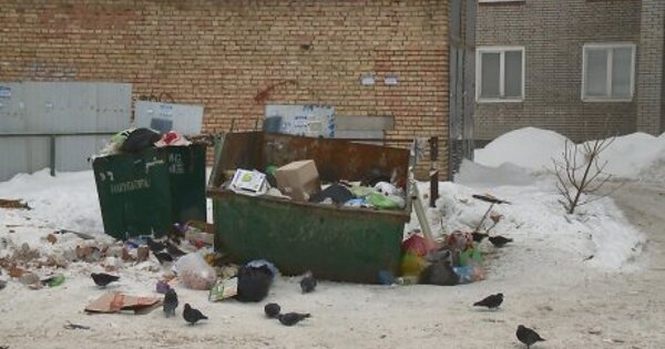 Trash Cans Segmentation Instance Segmentation Dataset by Volobuevs Workspace