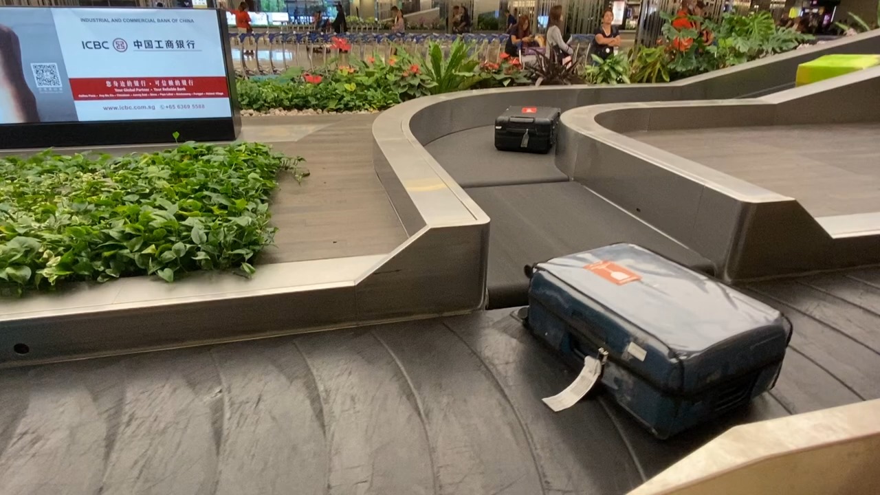 baggage counting Object Detection Dataset and Pre-Trained Model by baggage counting system using ...