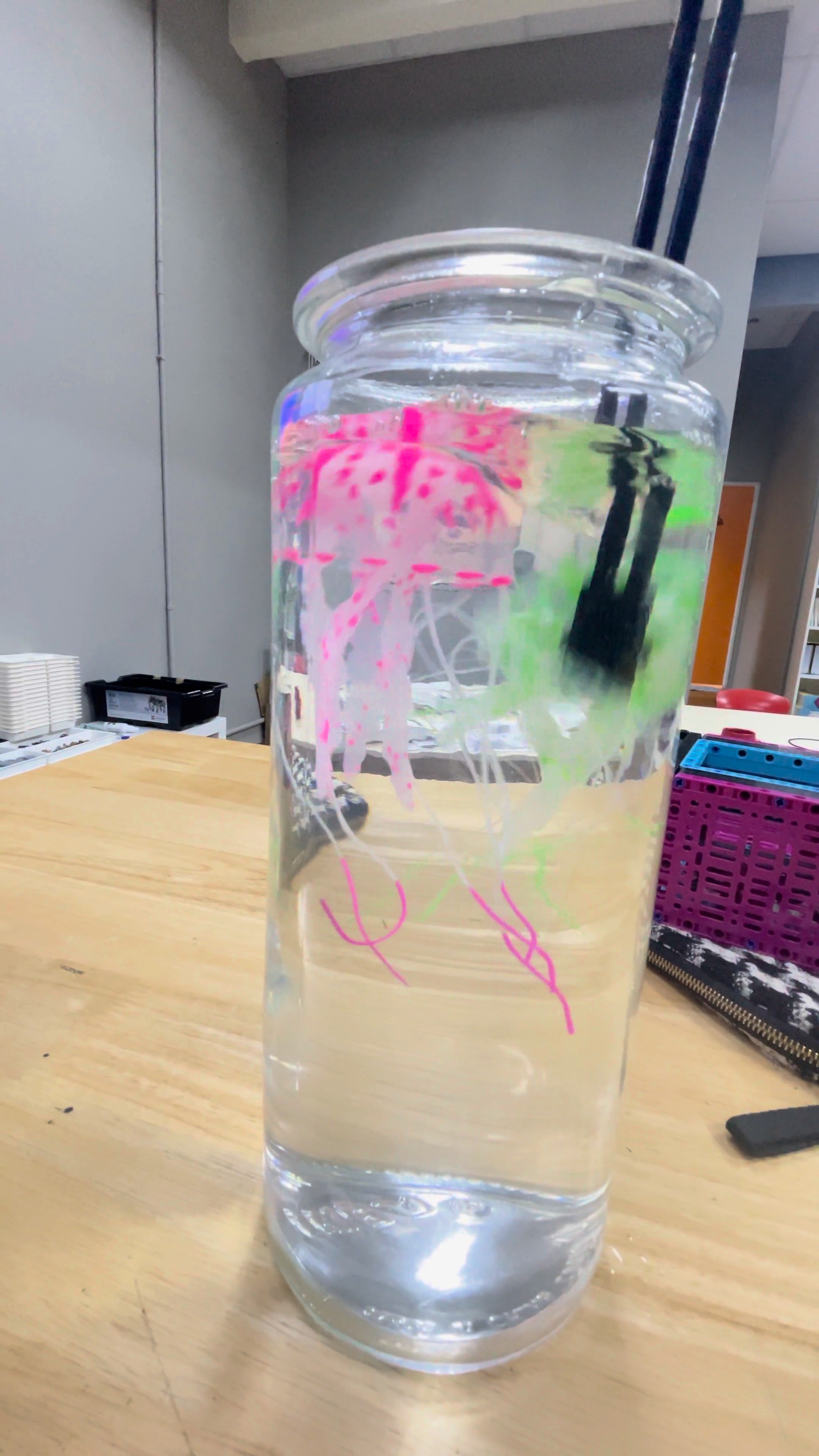 jellyfish-detection-x Object Detection Model by Aquaholic Buoy