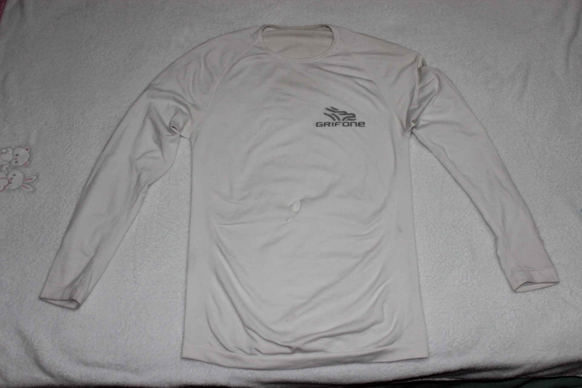 ffb Semantic Segmentation Dataset by Thesis