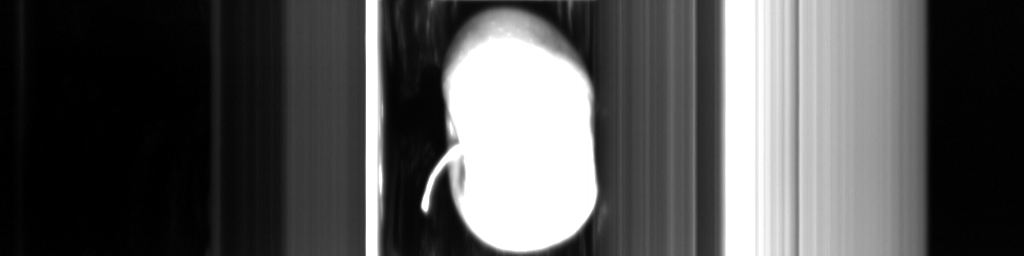 SWIR Object Detection Dataset by TR2