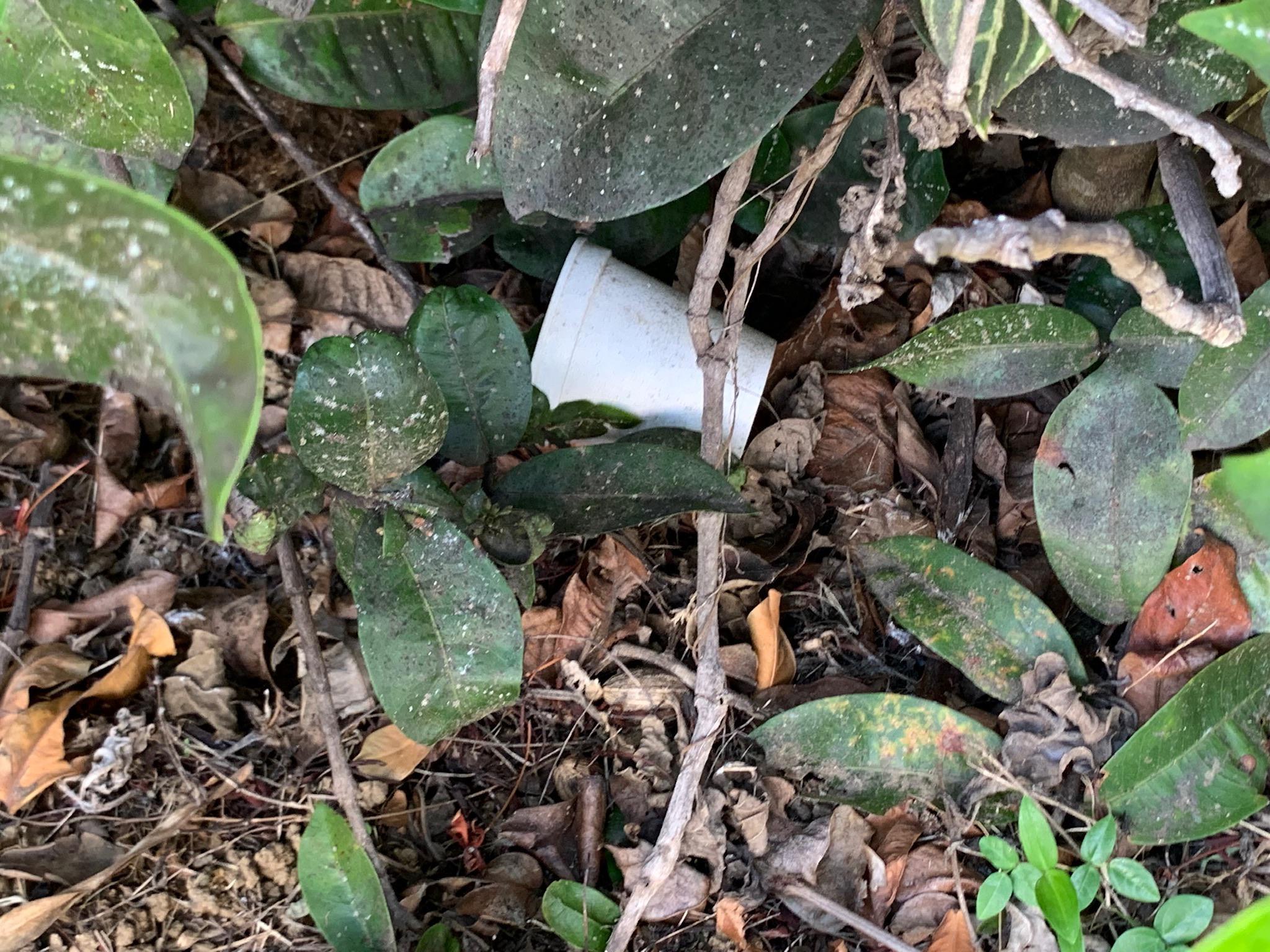 Taco Full Object Detection Dataset By Trash Recognition Fixed