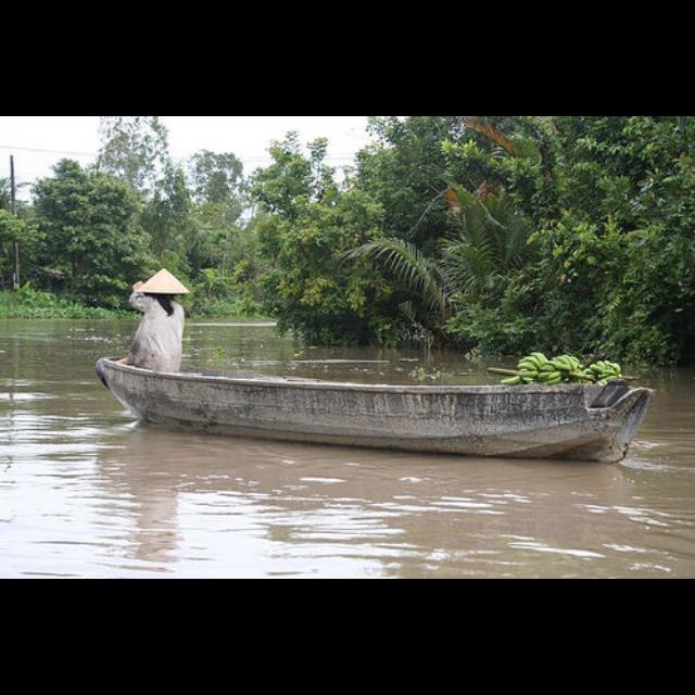 Detection Yolov5 Object Detection Dataset By Firmware8