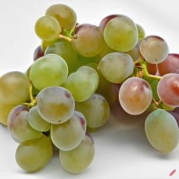 grape Object Detection Dataset by Frutas1