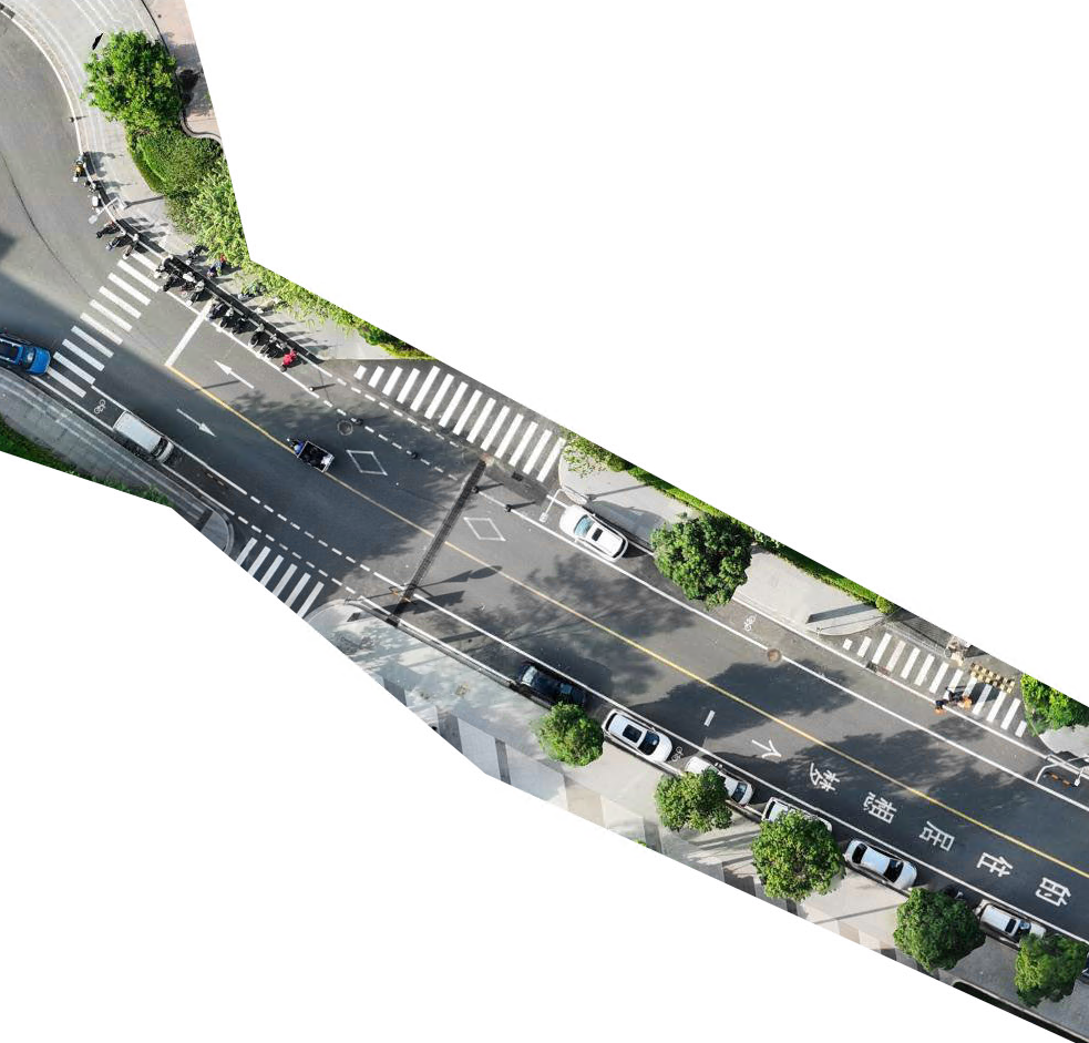 Zsyx Trees Object Detection Dataset By Tree1