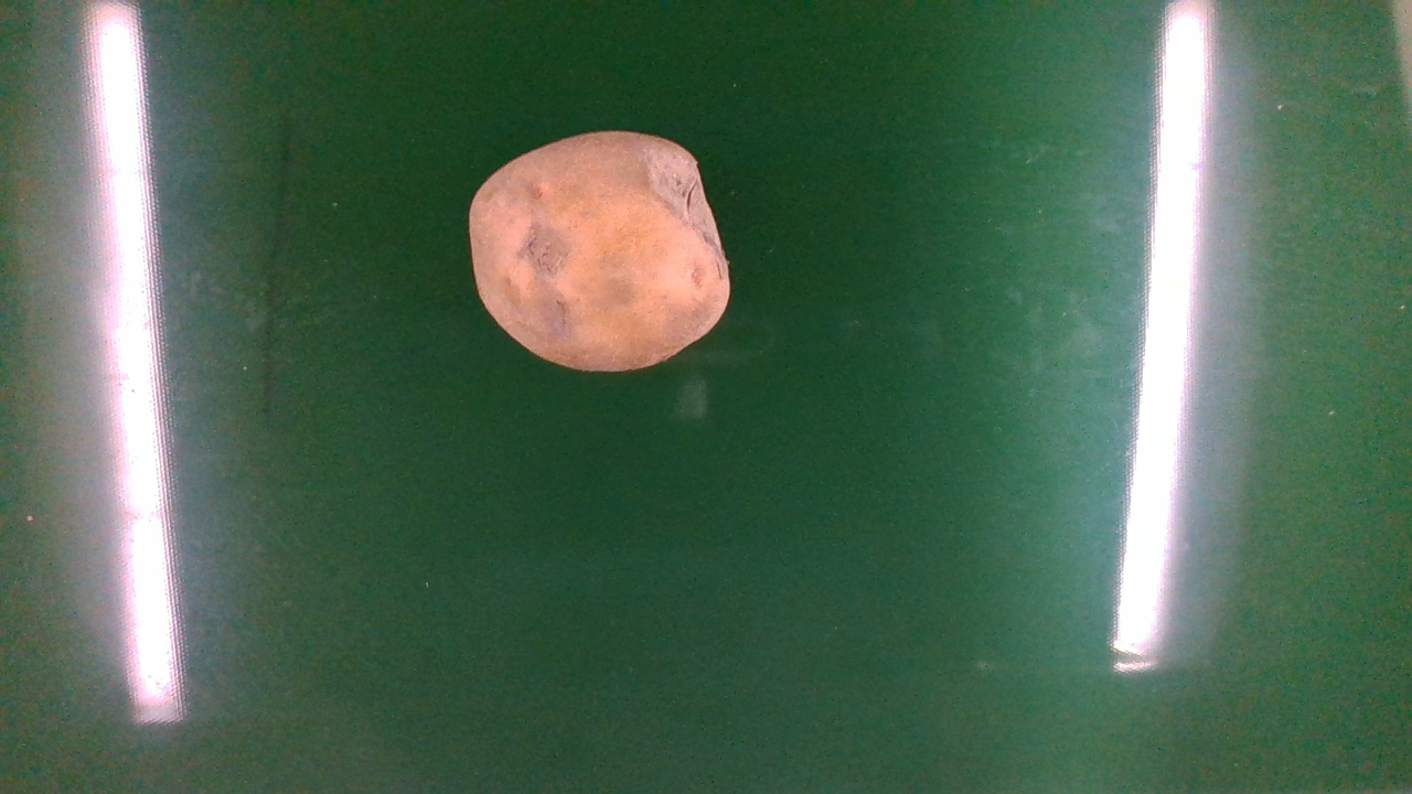 potato defect Object Detection Dataset by HARINI