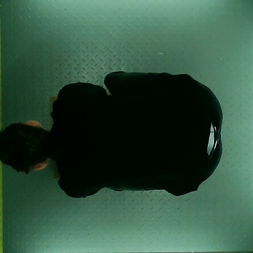 Salary_SC_Segment Instance Segmentation Dataset by SegmentSC