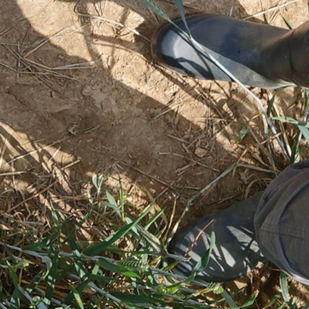 data Instance Segmentation Dataset and Pre-Trained Model by WWW