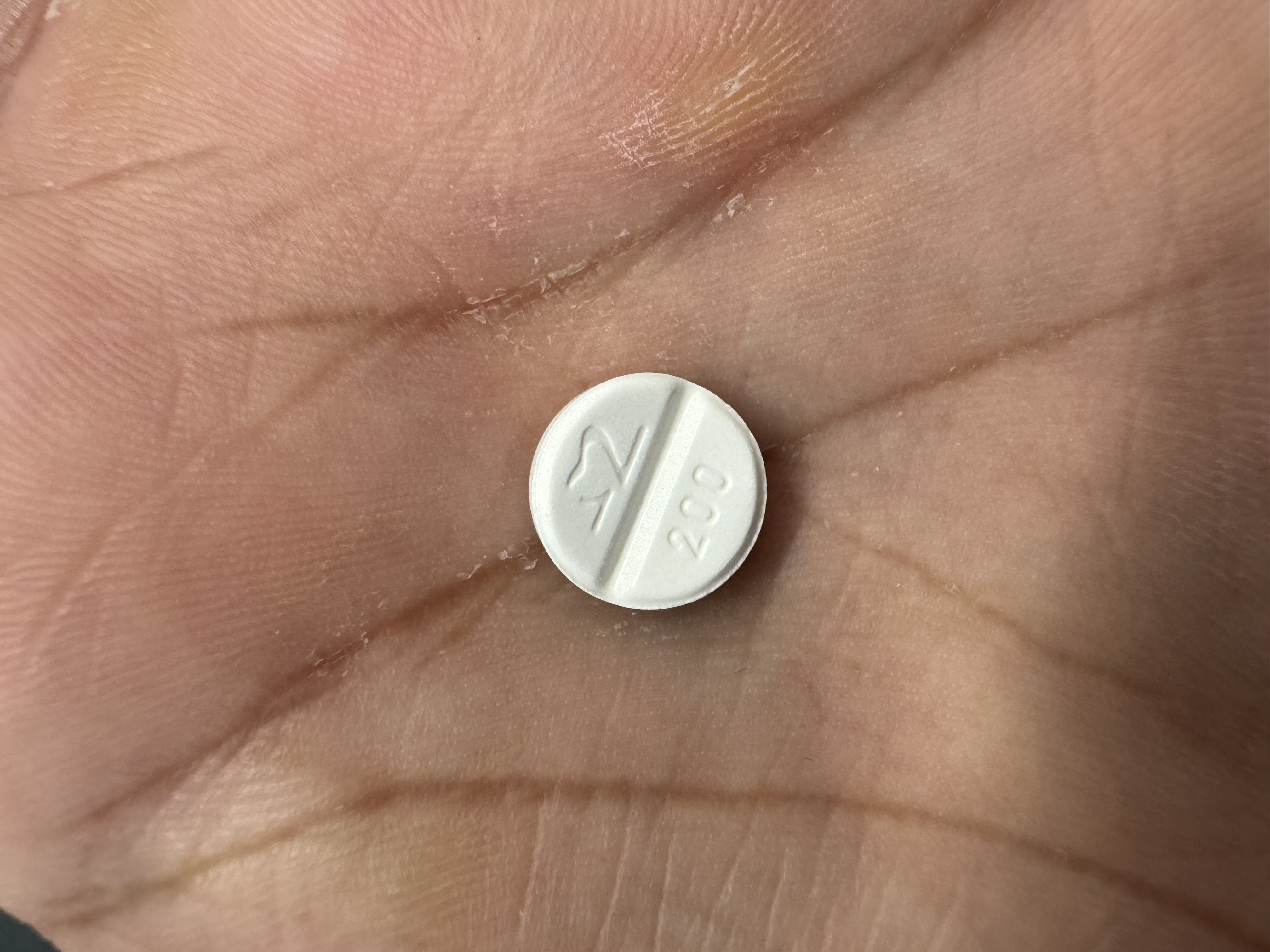 pill Instance Segmentation Model by Pills