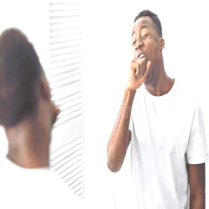 dd Object Detection Model by test