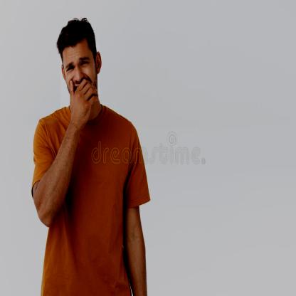 ss2 Object Detection Dataset by test