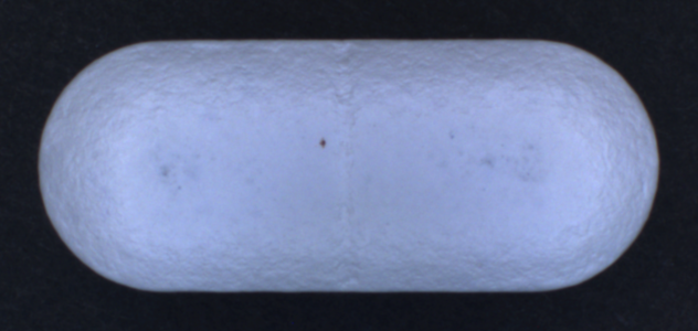 Pill Semantic Segmentation Model by Thitipat Permpatdechakul