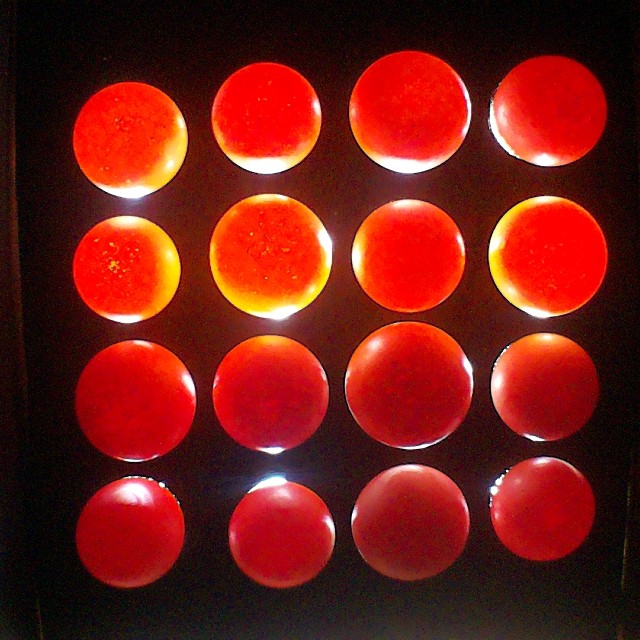 Egg Fertile Infertile Detection Object Detection Dataset And Pre