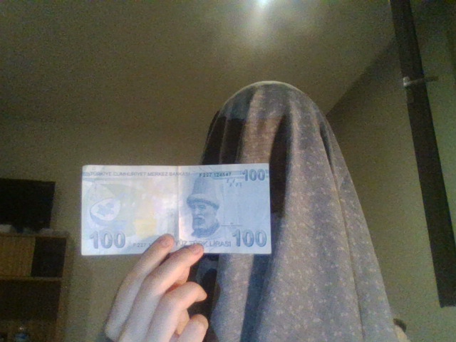 Money Detection Object Detection Dataset By Nicoltesla