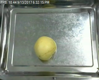 How to Use the Pear Object Detection API