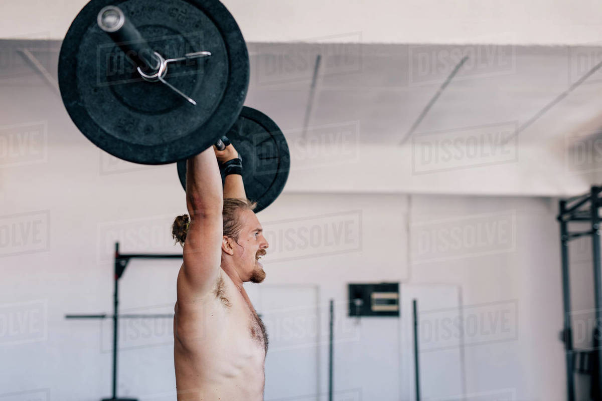 Barbell Object Detection Dataset By Daesung