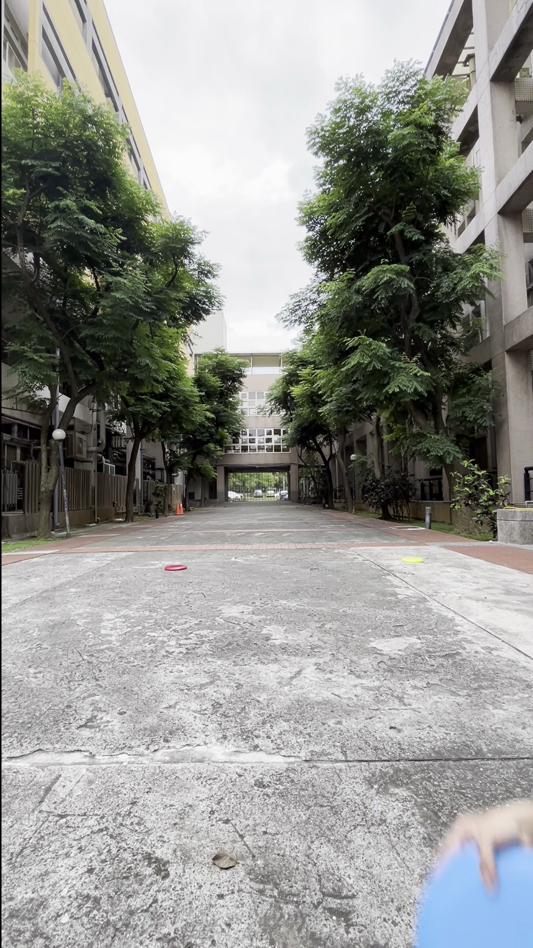 Frisbee_NoColorDetect Object Detection Dataset by yolo