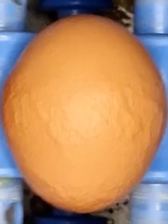 How to Use the egg Classification API