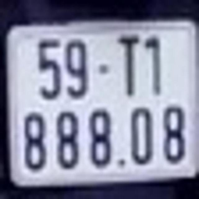 License Object Detection Dataset By Trung Hiu Phm