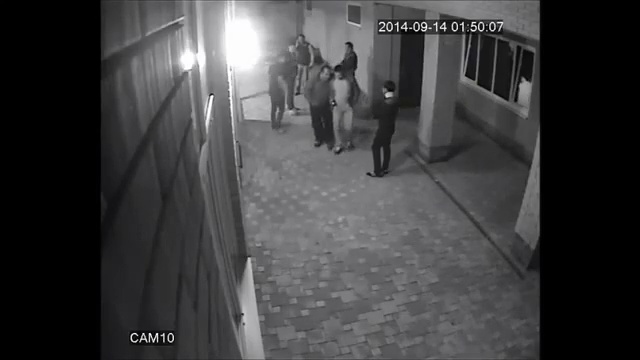 Fight dataset Object Detection Model by Data Picture