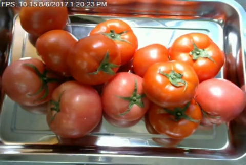 Tomato Instance Segmentation Dataset by Machine Learning